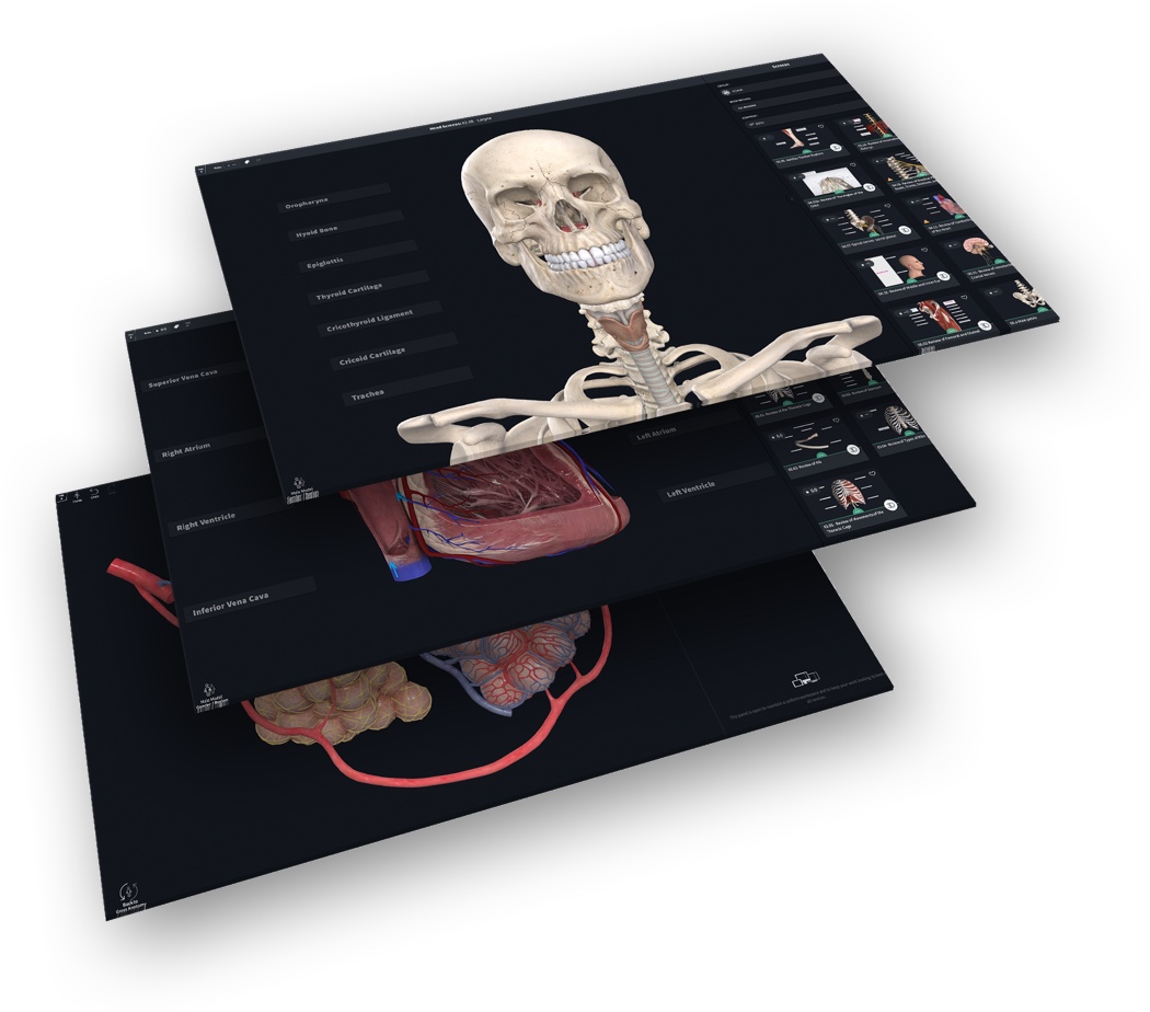 Checkout - Complete Anatomy